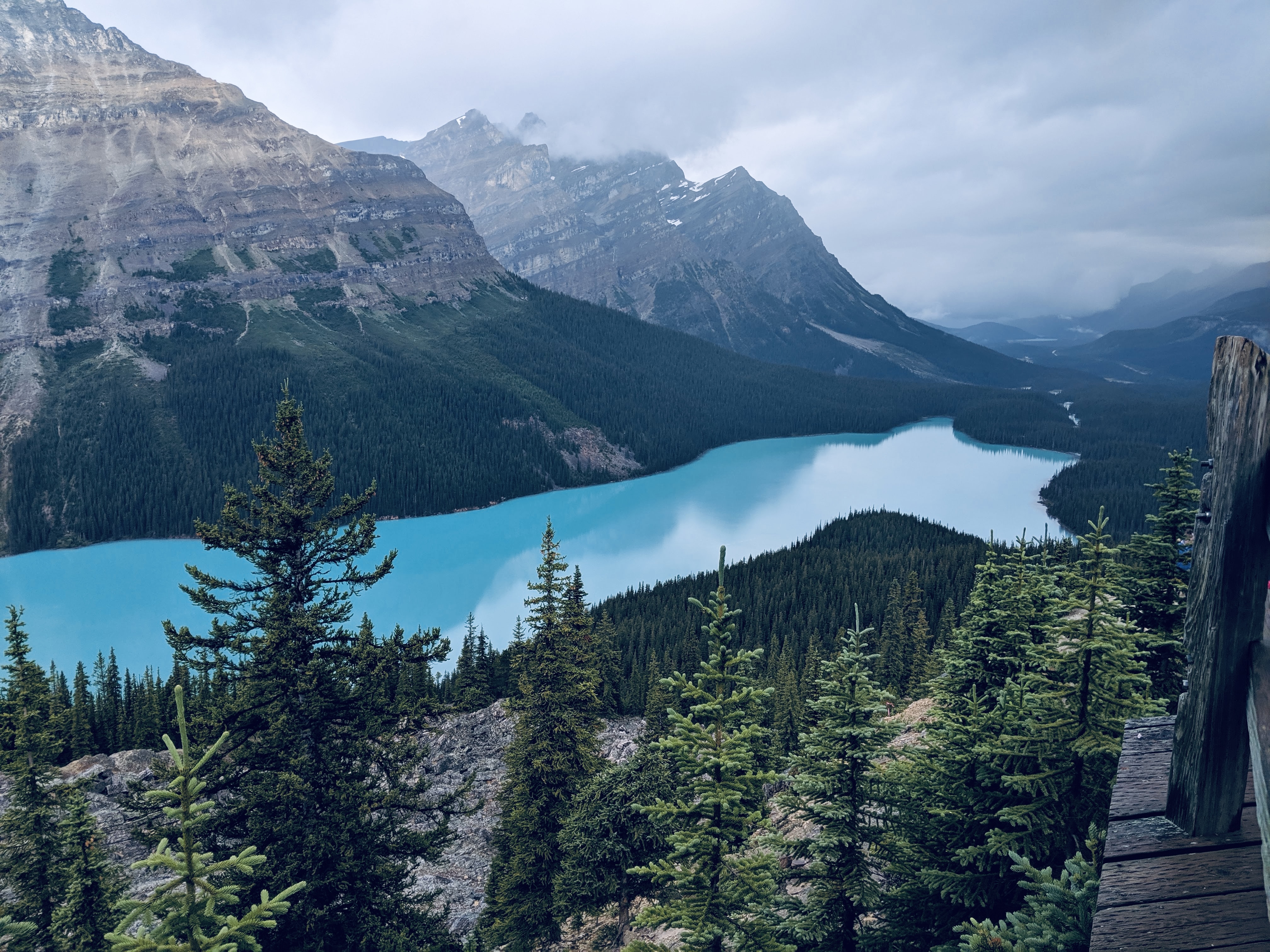 10 Essential Travel Tips to Know Before Going to Banff in Summer